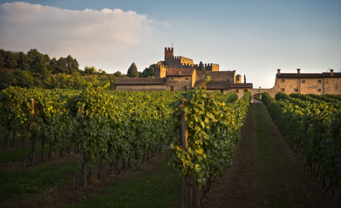 Bennati Winery • Exclusive at Vianello Wines