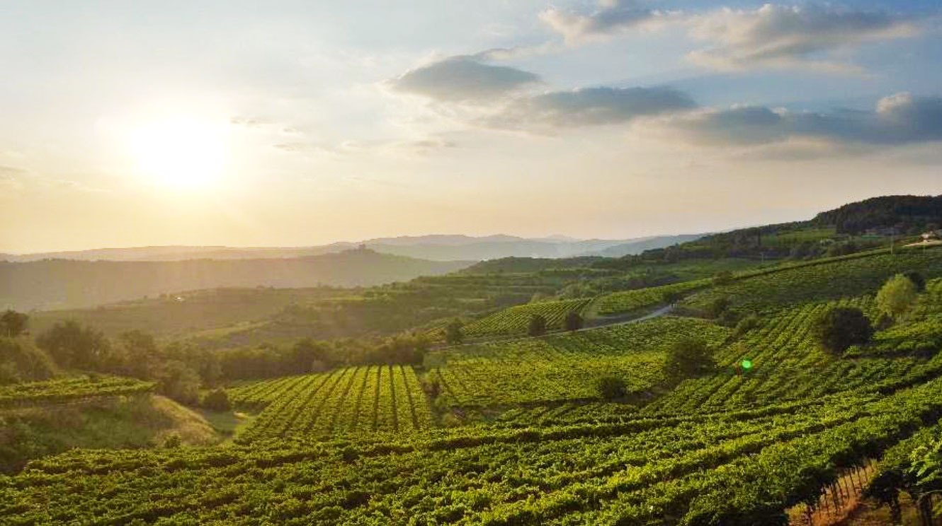 Bennati - Vianello Wines